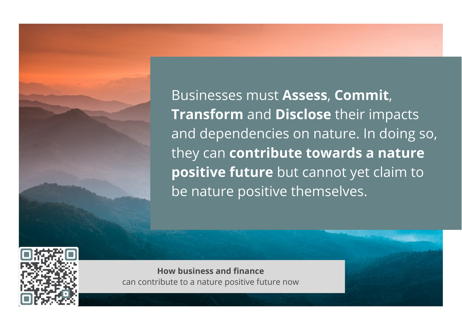How business and finance can contribute to a nature positive future now ...