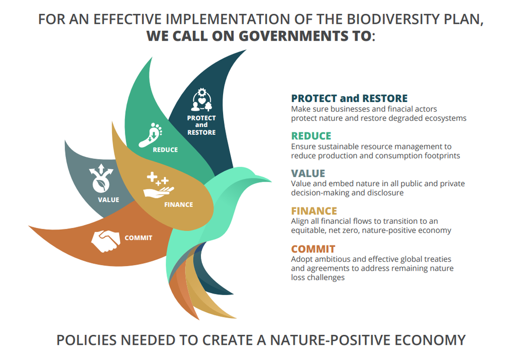 Policy recommendations — Business For Nature