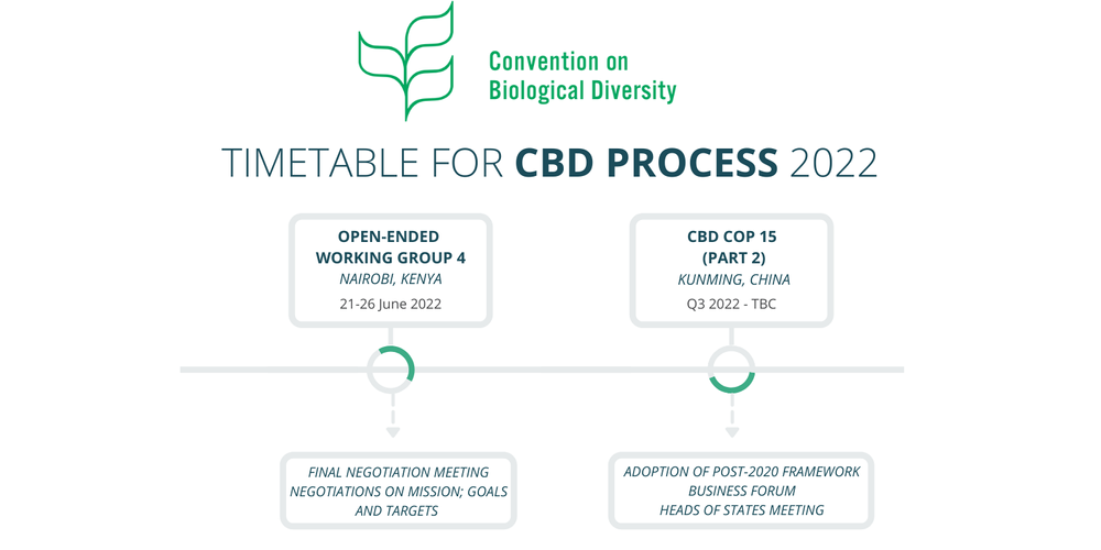 Read our Business and Finance guides to the UN Convention on Biological ...