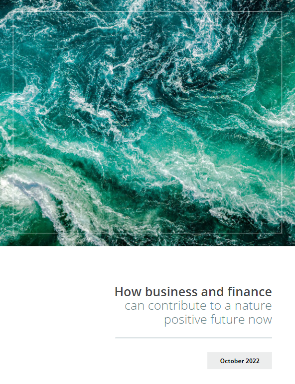 How business and finance can contribute to a nature positive future now ...