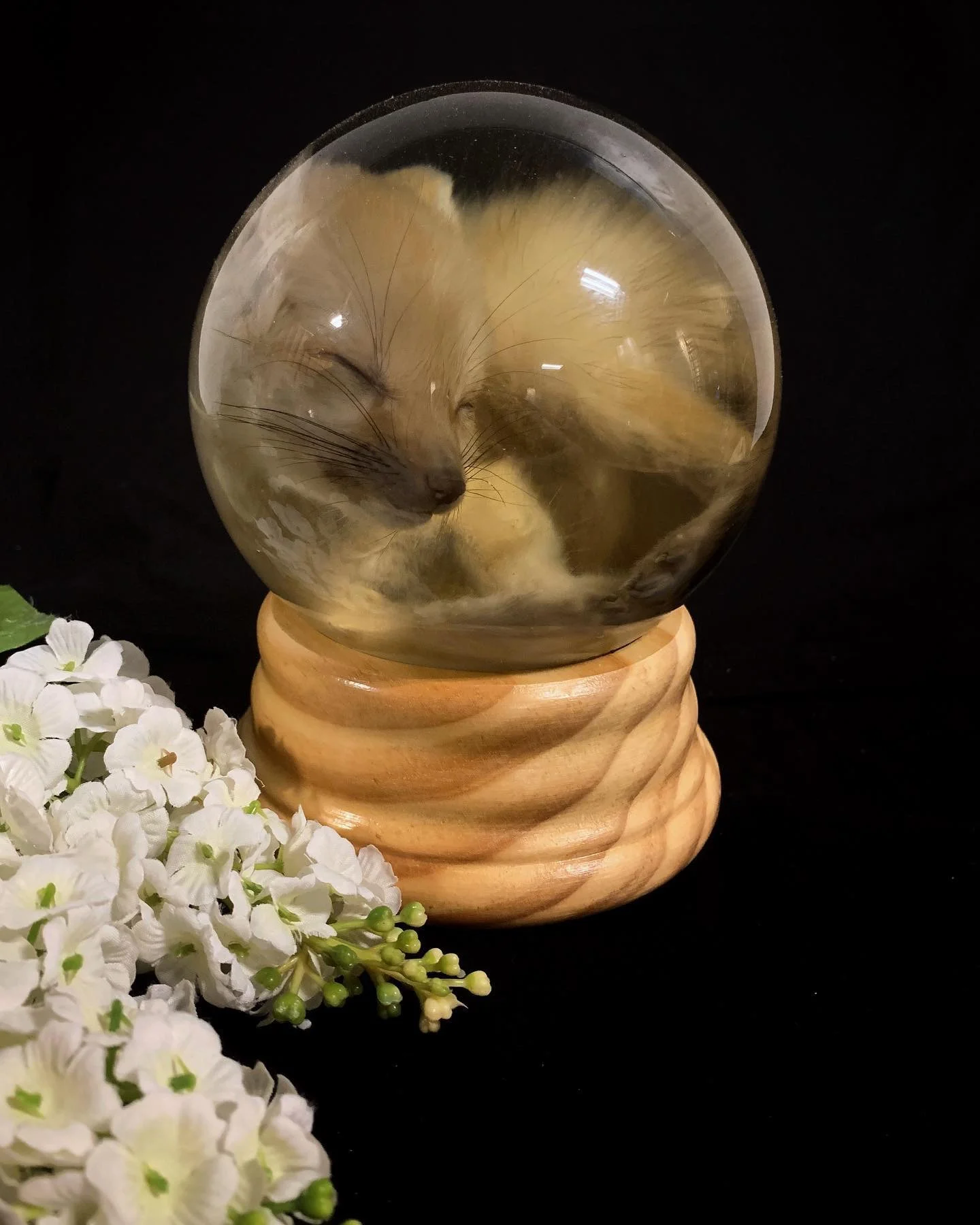 The Strange & Unusual