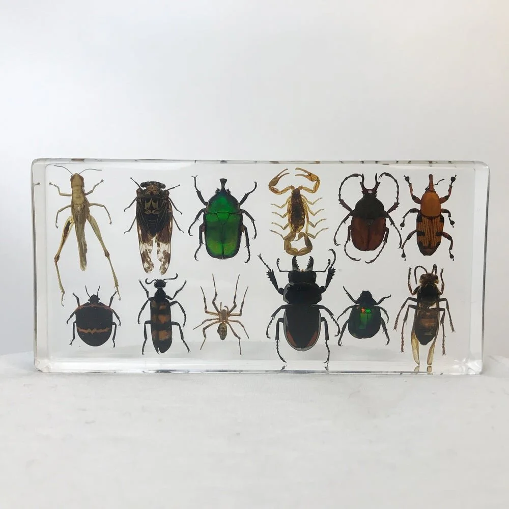 All Products — The Strange & Unusual