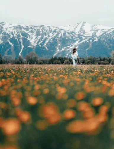¿Qué es la profundidad de campo? Guía completa con ejemplos