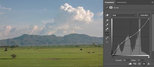 Curvas en Photoshop ¿Qué es y Cómo utilizarlas?