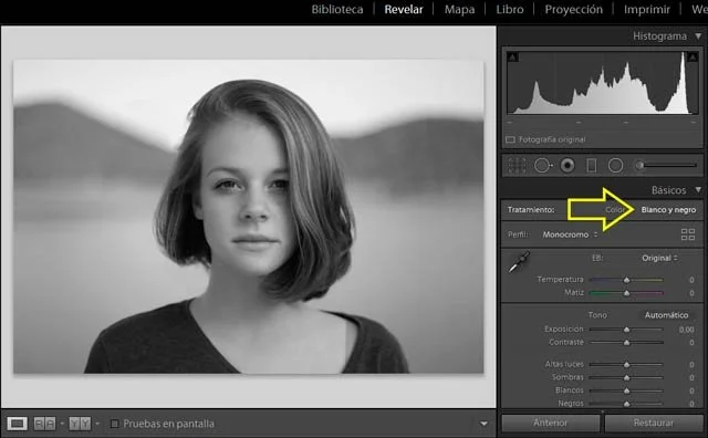 Guía rápida para hacer Fotos en Blanco y Negro
