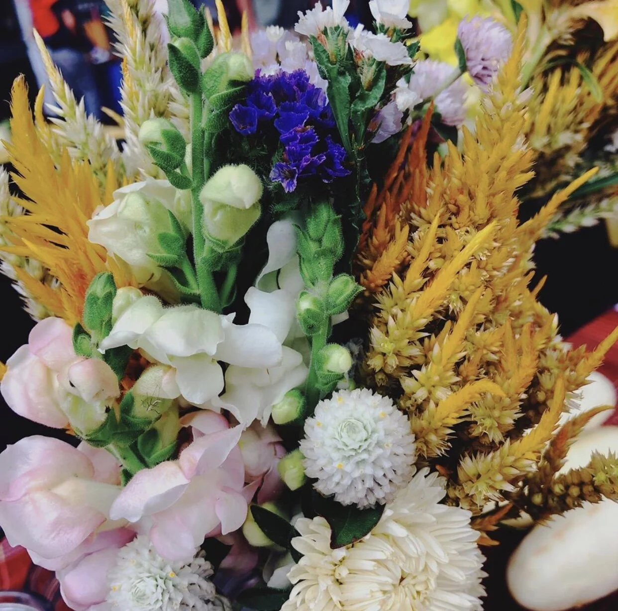 Sanders Ridge Vineyard + Winery