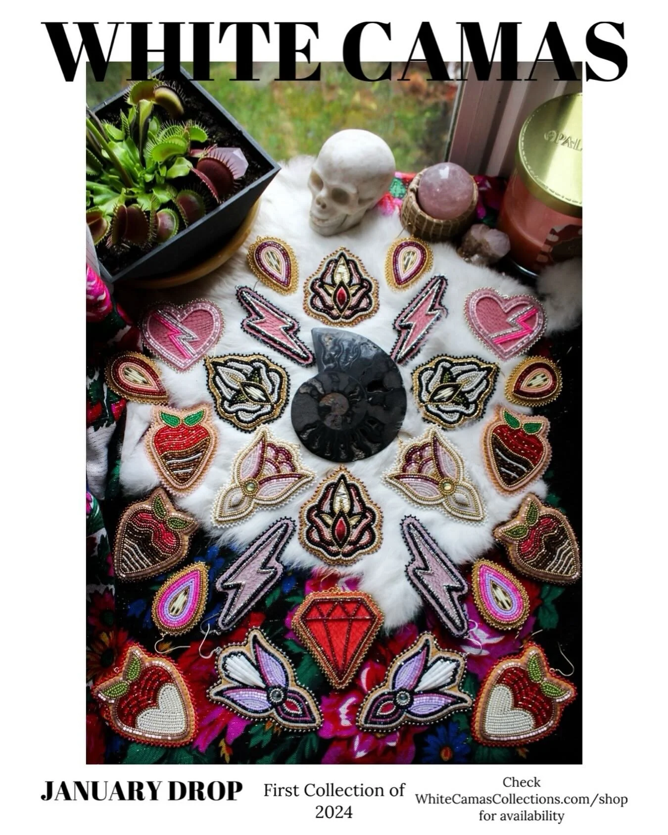 White Camas Collections