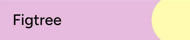 Best Sans Serif Google Fonts — Mushaboom Studio | Creative Brand Agency