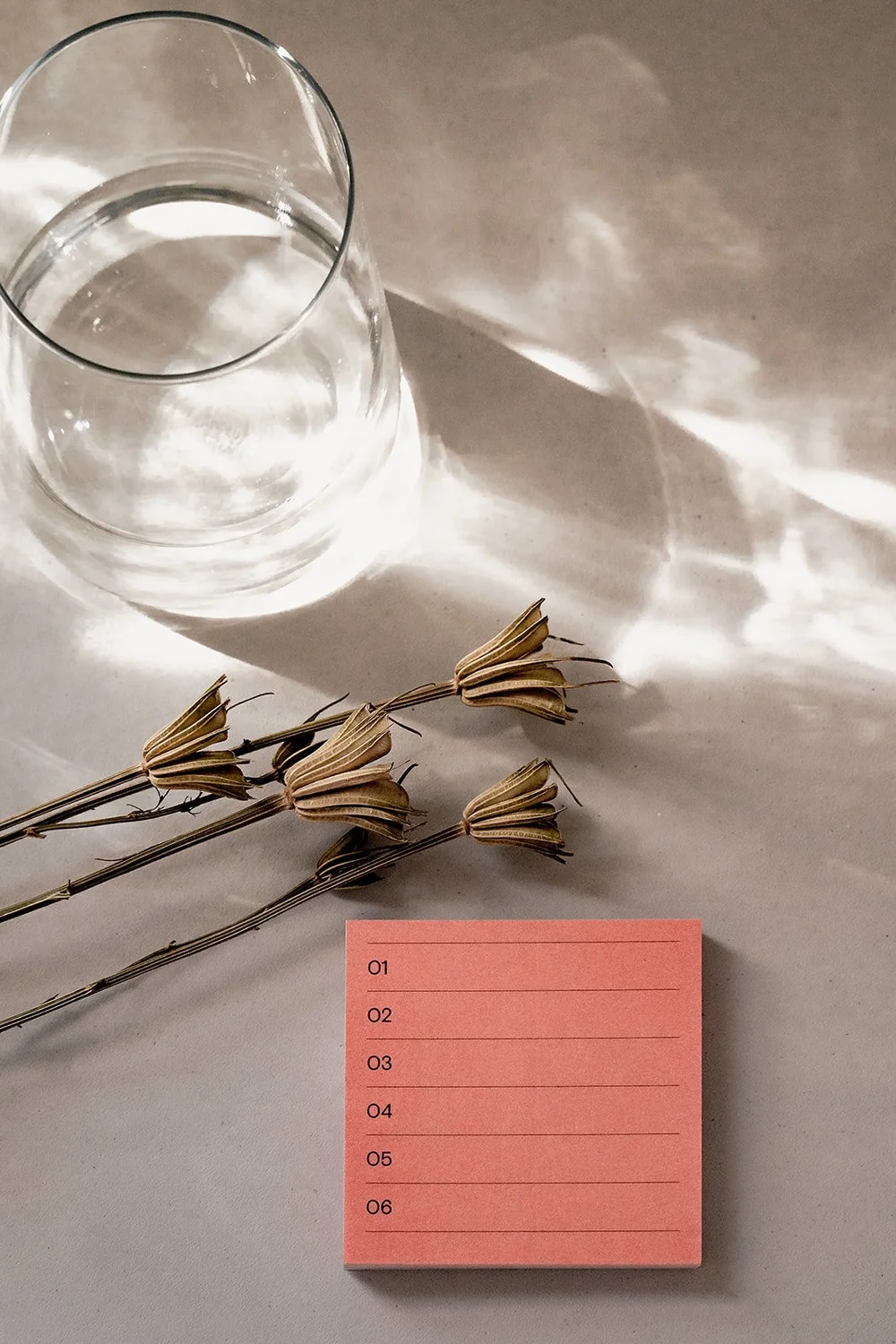 Verandi — Mushaboom Studio | Creative Brand Agency