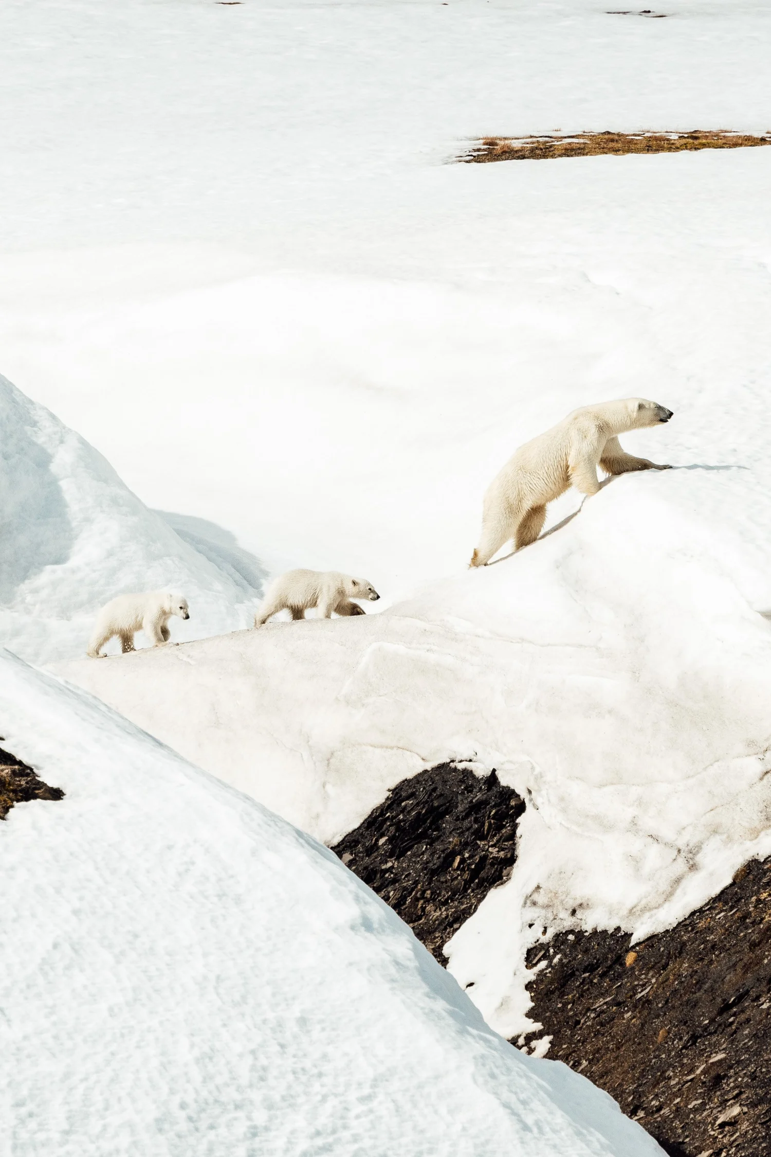 Svalbard | Discover & Explore Svalbard Today — The One With Wanderlust