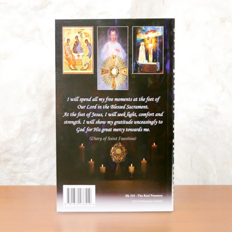Masterpiece Of Mercy by Daniel diSilva — Original Divine Mercy Institute