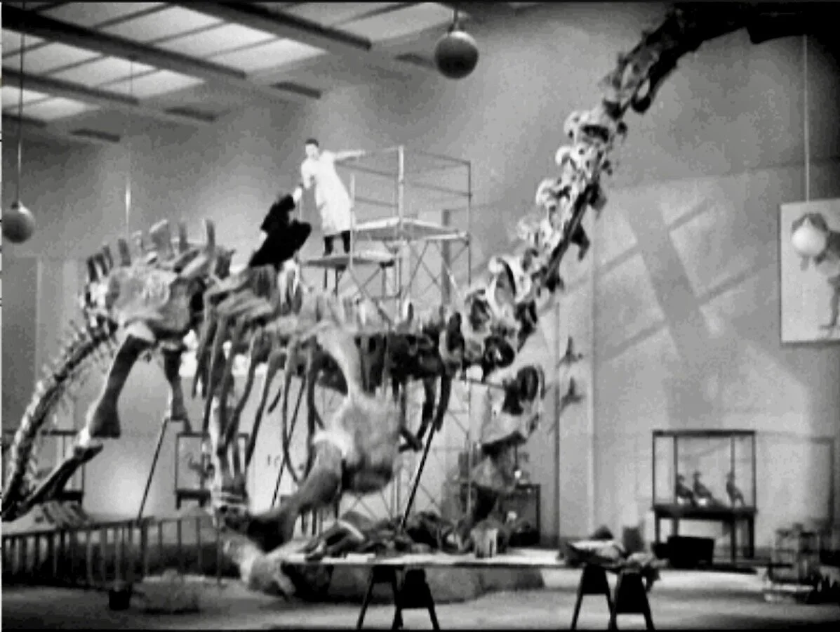 When Function Meets Mischief in a Movie: The Chemistry in the ...