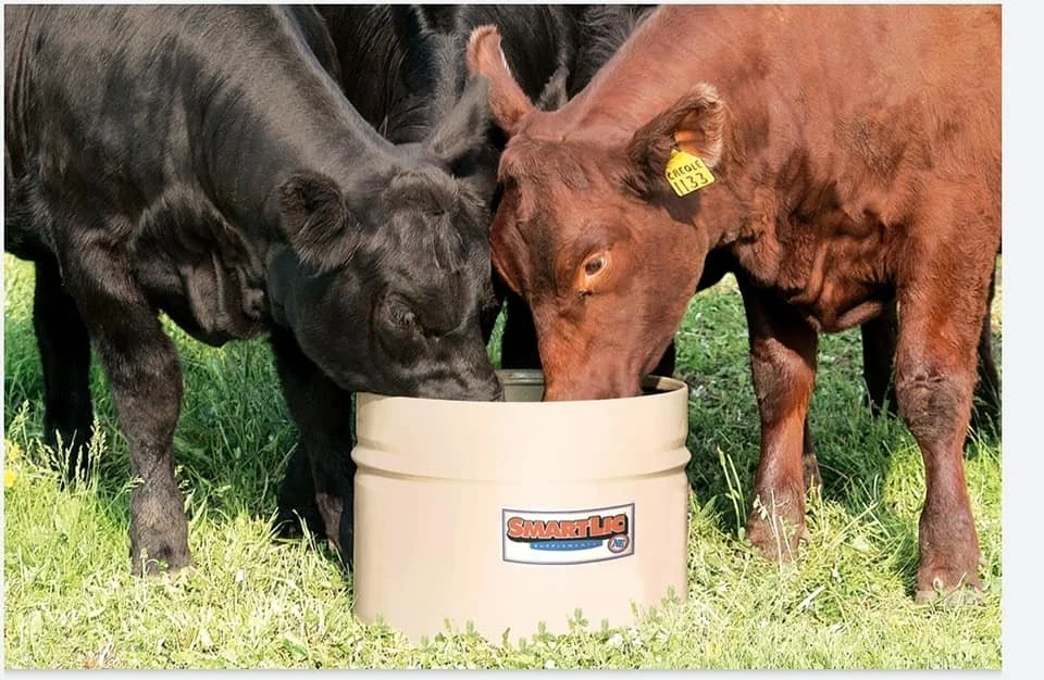 Cattle Mineral & Lick Tubs — East Poplar Simmentals & Ag Supply ...