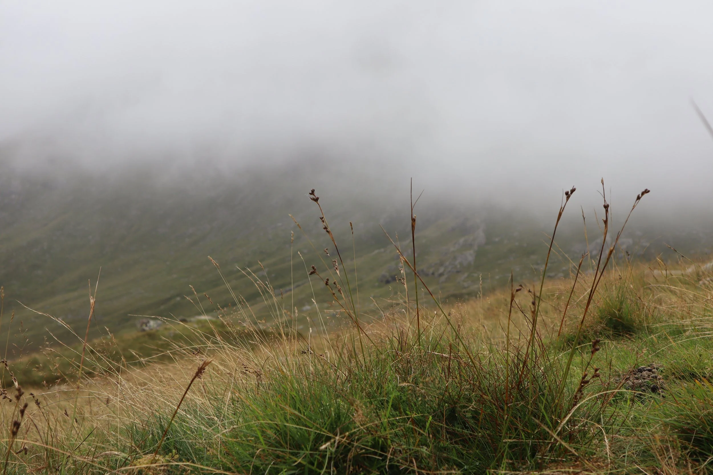 Anna Carter Contemporary British Artist