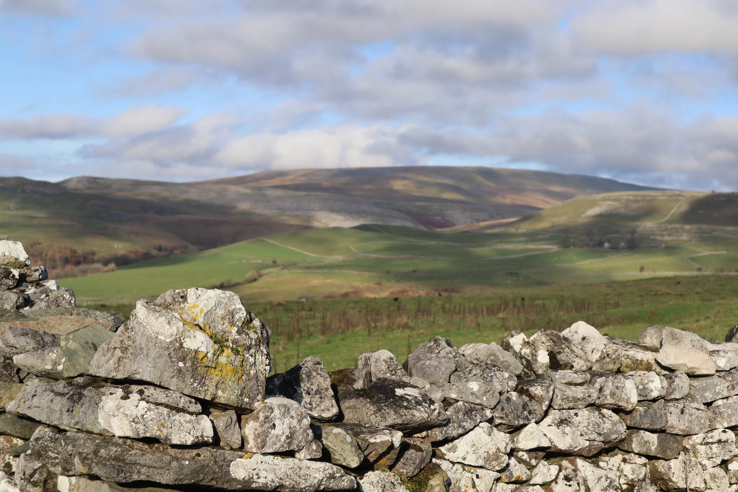 Anna Carter Contemporary British Artist