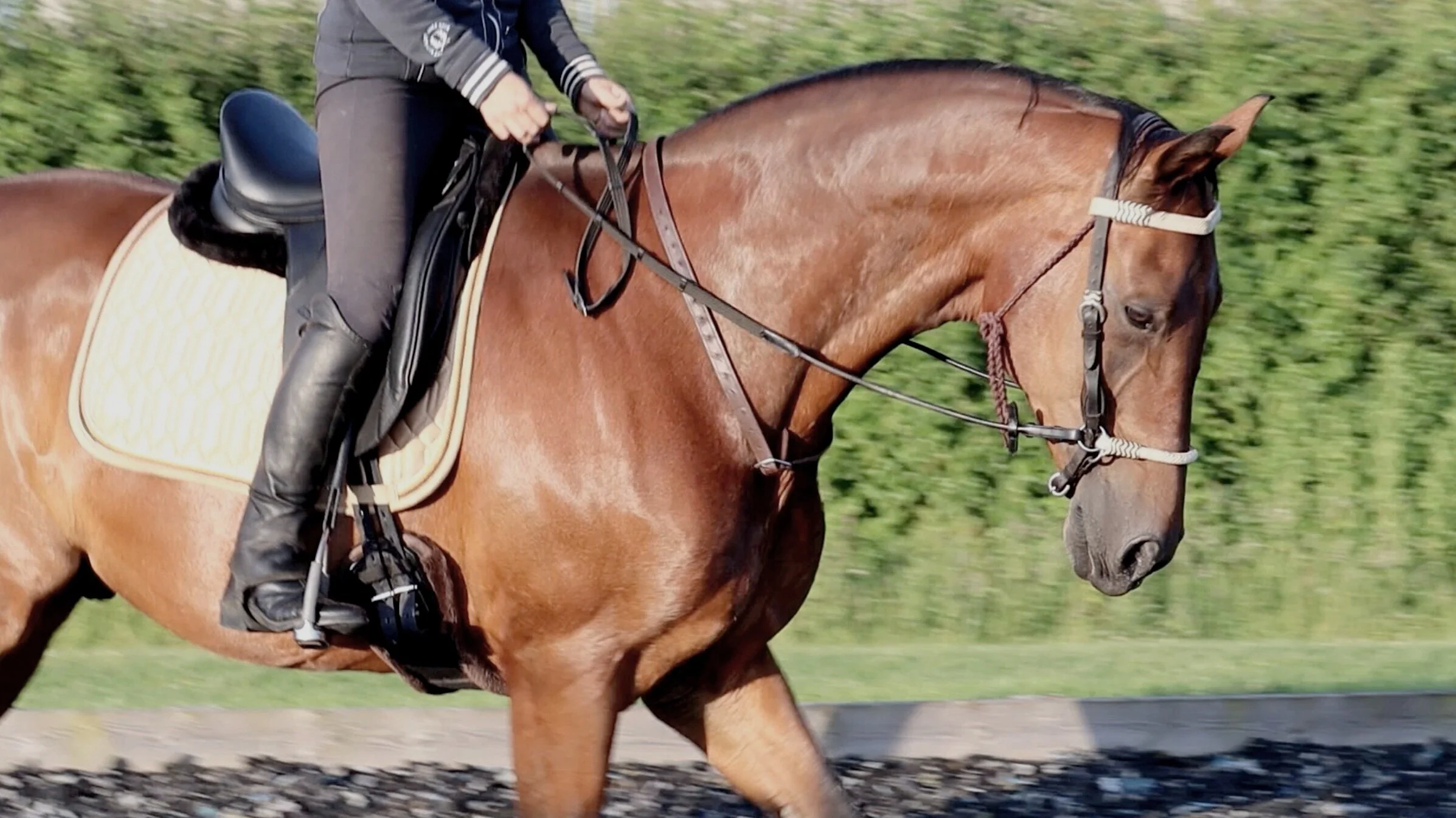 Anna Carter Contemporary British Artist