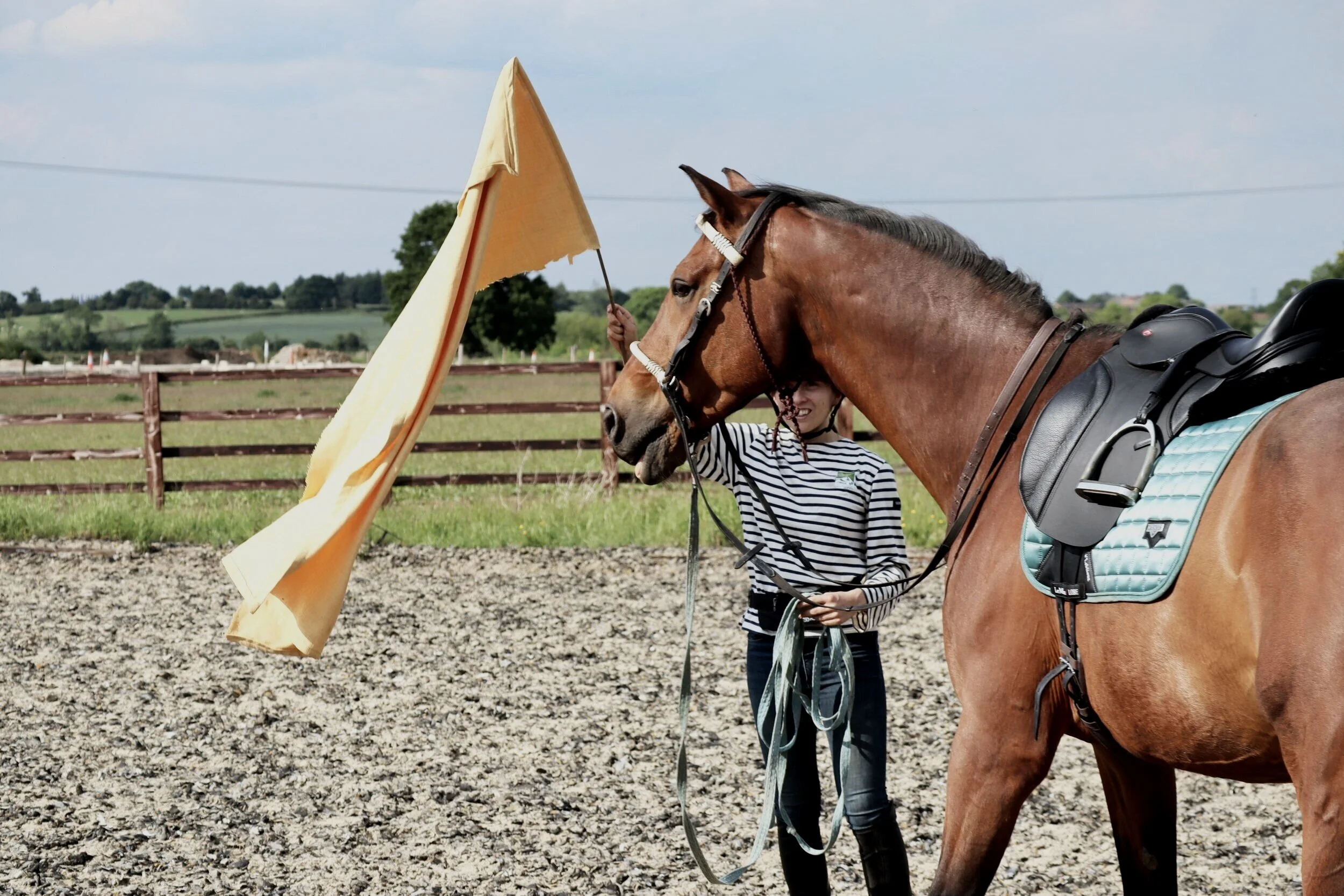 Anna Carter Contemporary British Artist