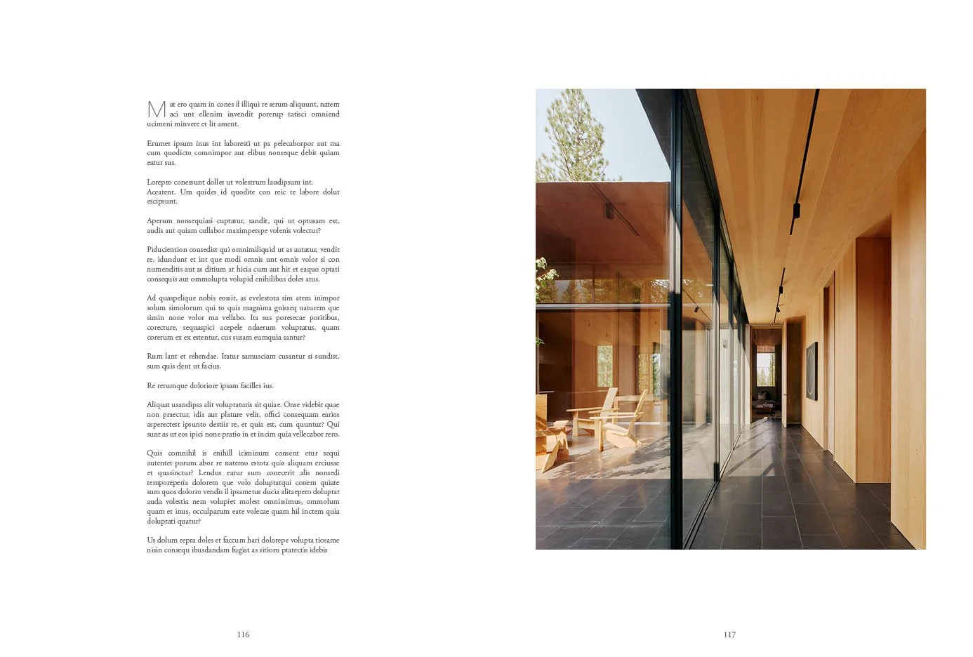 New View California — benton buckley books