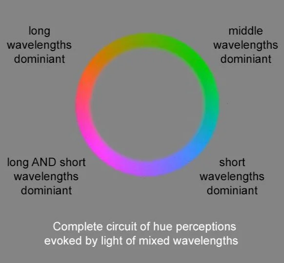 Seeing colours — Colour Literacy Project