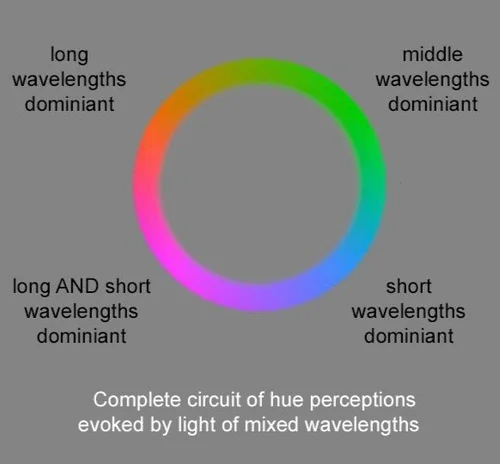 Seeing colours — Colour Literacy Project