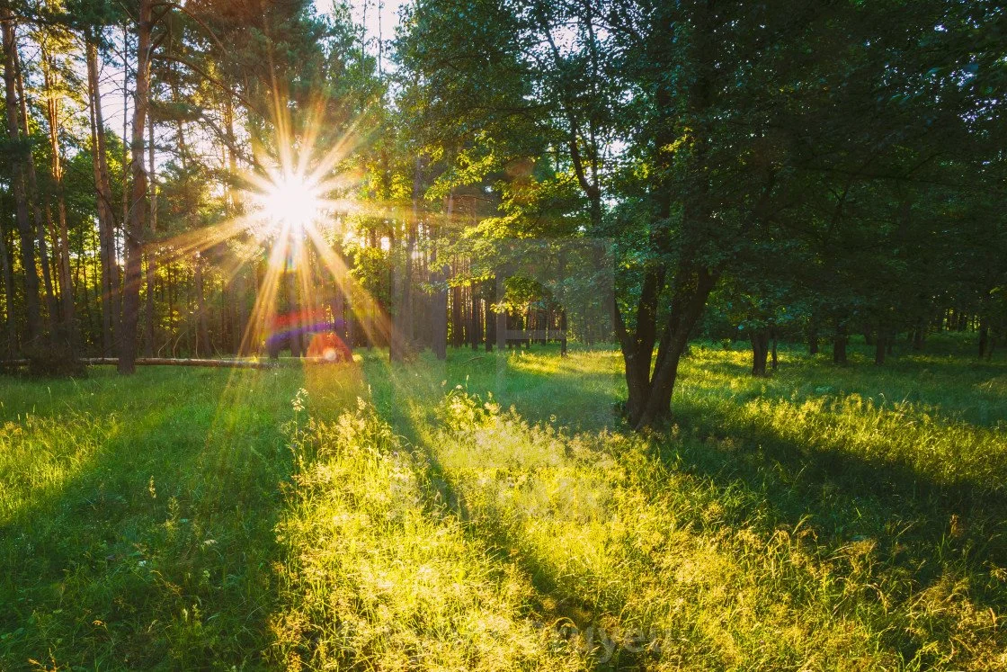 Light, Wavelength and colour — Colour Literacy Project