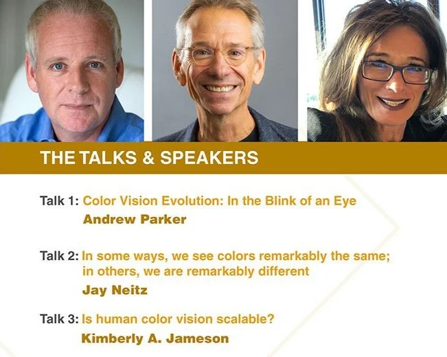 Evolution of Colour Vision — Colour Literacy Project