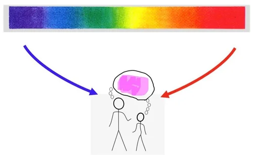 Magenta is not real — Colour Literacy Project