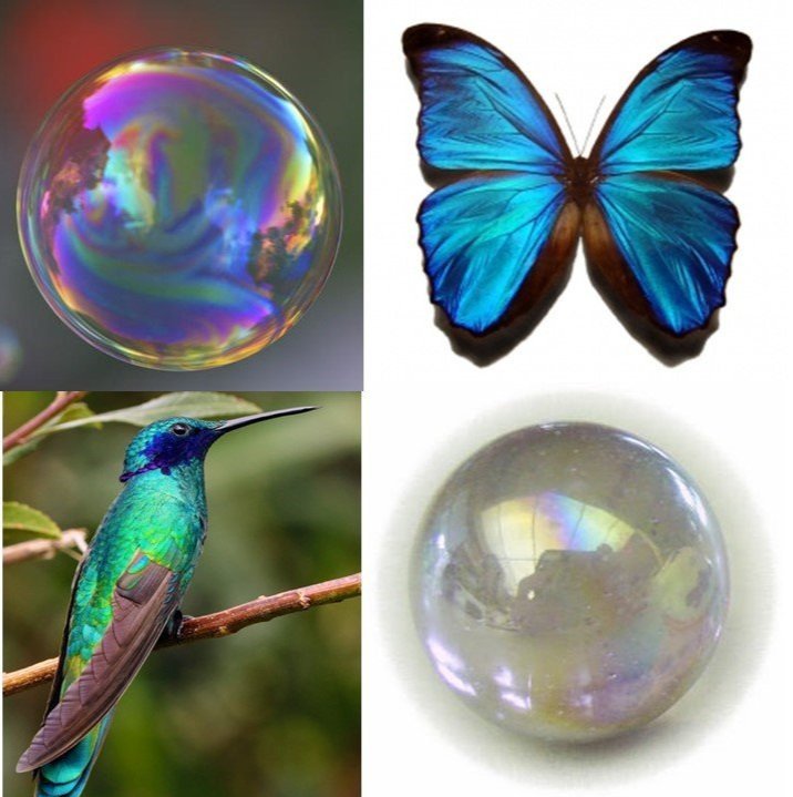 Iridescent colours — Colour Literacy Project