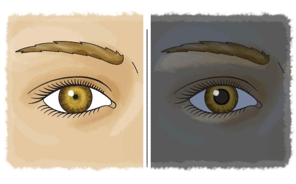 The eye — Colour Literacy Project