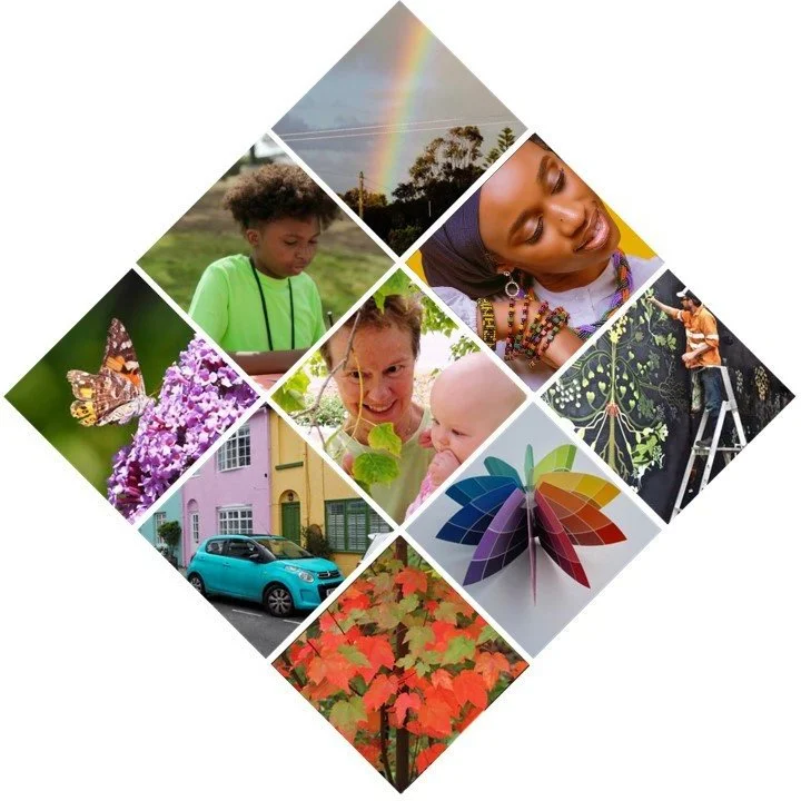 Colour Literacy Project