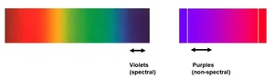 Purple vs Violet — Colour Literacy Project