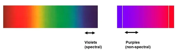 Purple vs Violet — Colour Literacy Project
