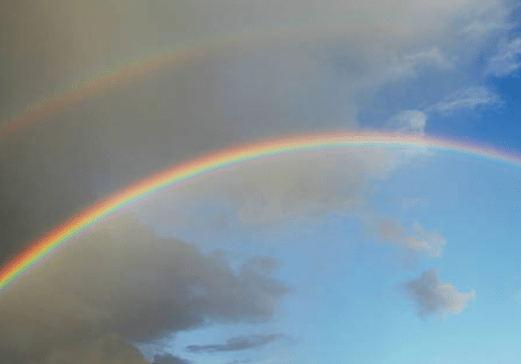 Rainbows and Spectrum — Colour Literacy Project