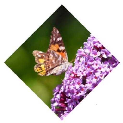 Colour Literacy Project