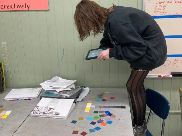 Colour Literacy Project