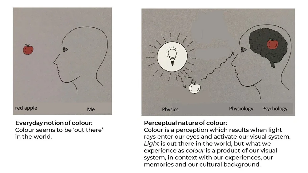 Colour is a perception — Colour Literacy Project