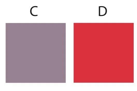 Odd one out — Colour Literacy Project