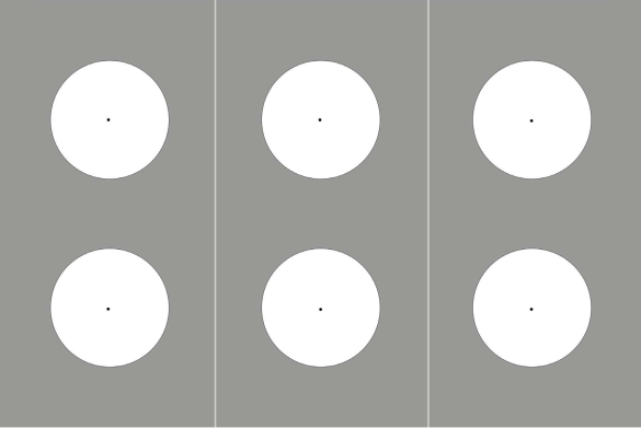 Afterimages — Colour Literacy Project