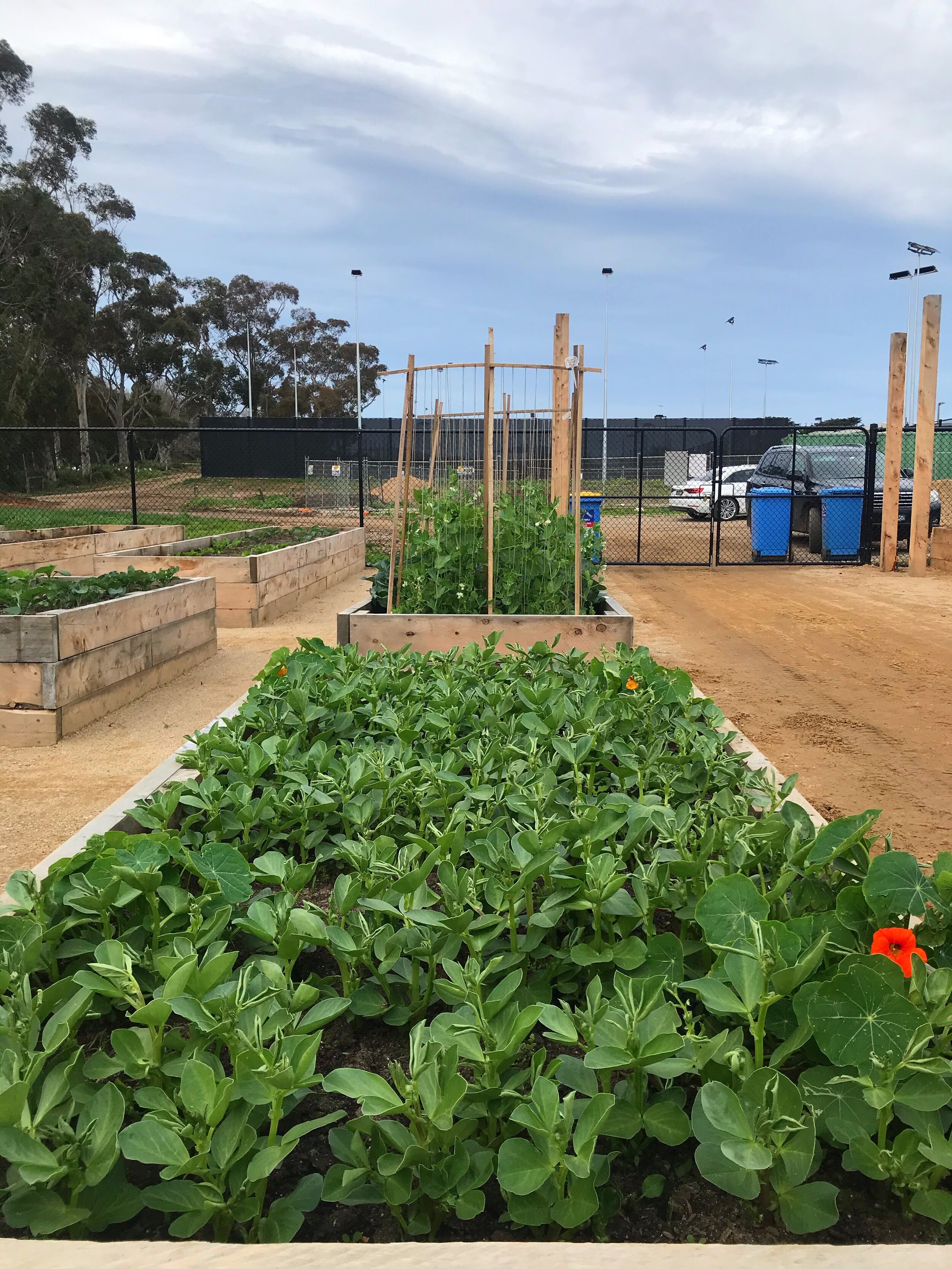 Private Plots — Seed Community Garden