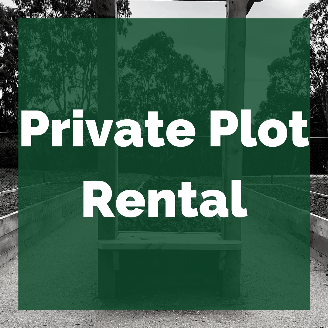 Private Plots — Seed Community Garden