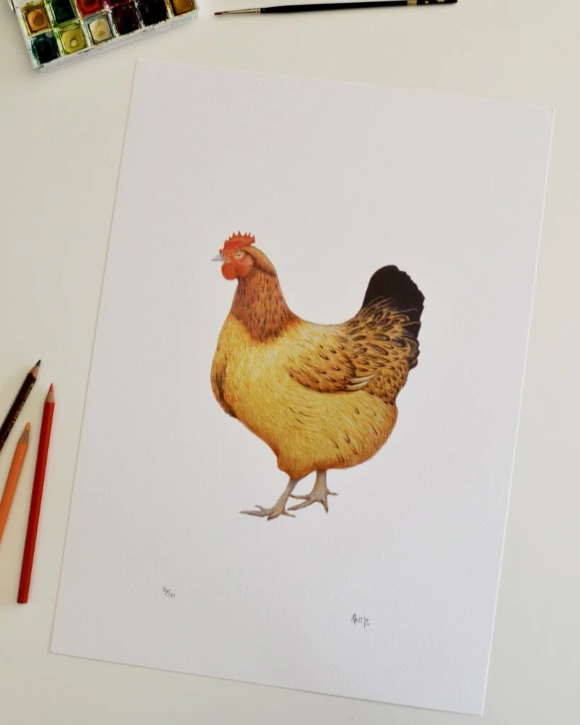 Chicken Print — Ele Grafton Studio