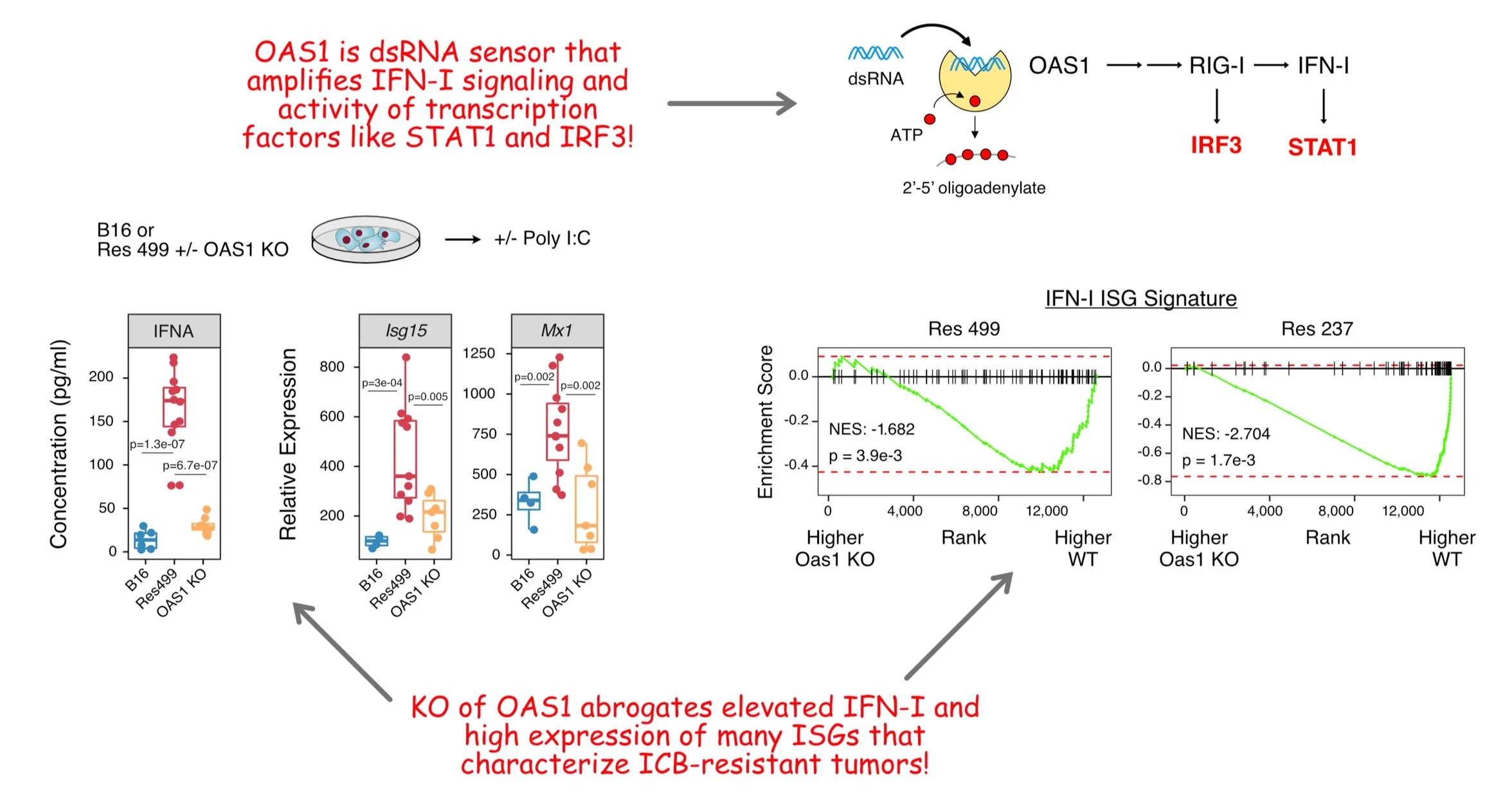 Immunotherapy Resistance and Inflammatory Memory — Andy Minn Lab at UPenn