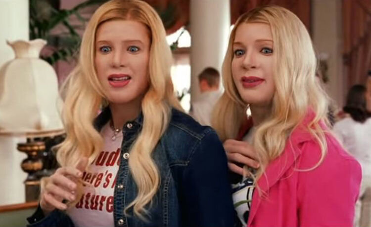 White Chicks Review — ScriptUp | Script Coverage for Film & TV