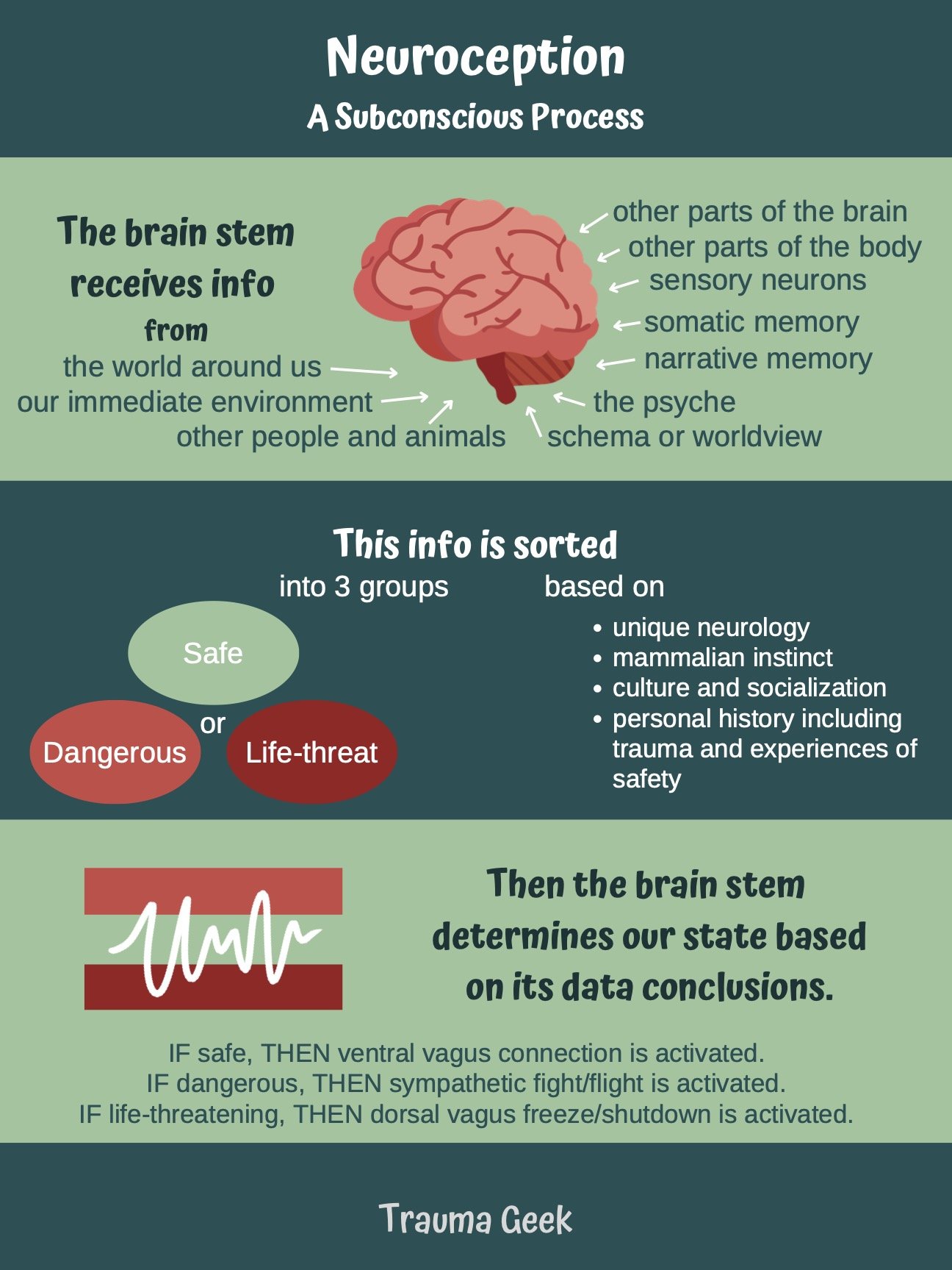 Understanding Neuroception: How Polyvagal Theory Can Help Us Regulate ...