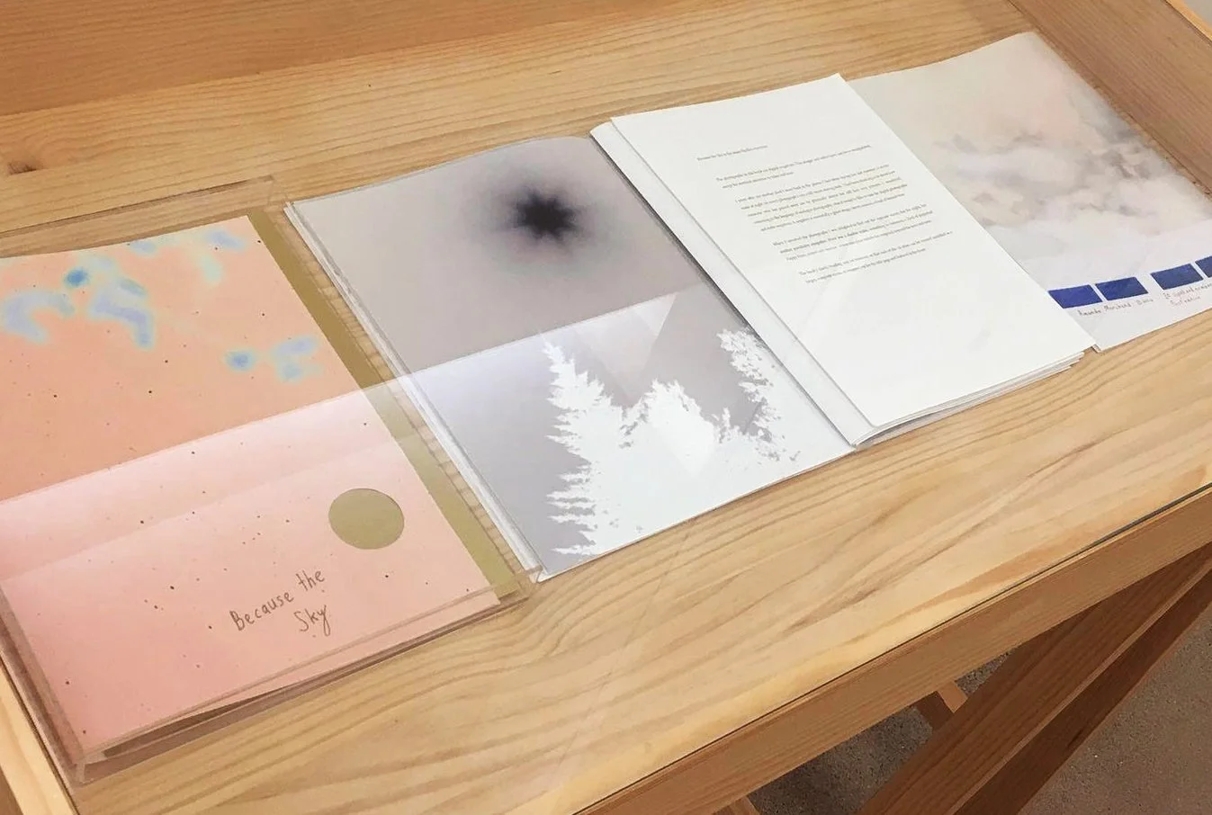 Because the Sky — AMANDA MARCHAND