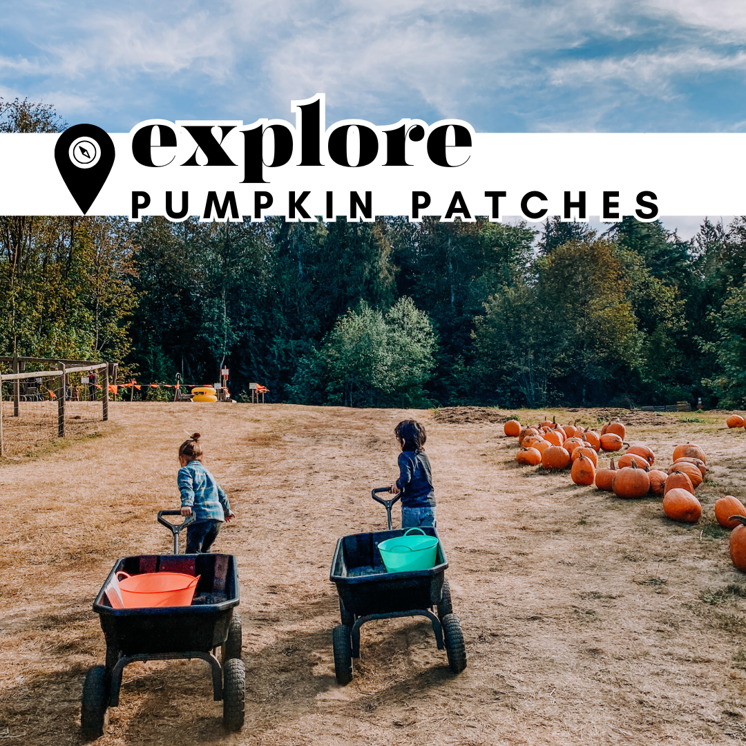 Visit and Explore Kitsap County Park Illahee State Park — Love Kitsap