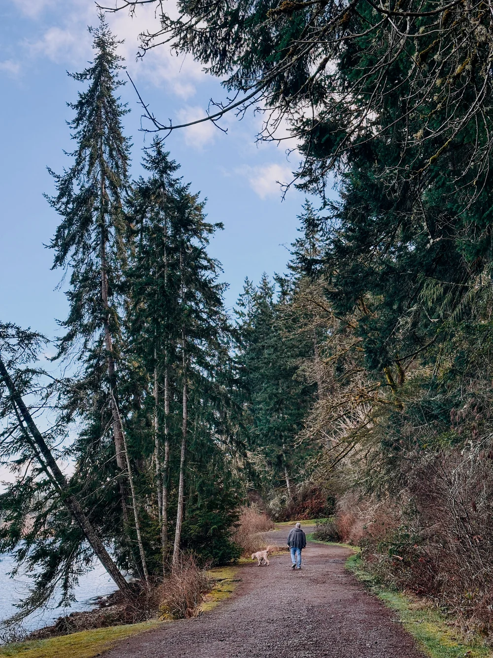 EXPLORE: Manchester State Park | Port Orchard — Love Kitsap