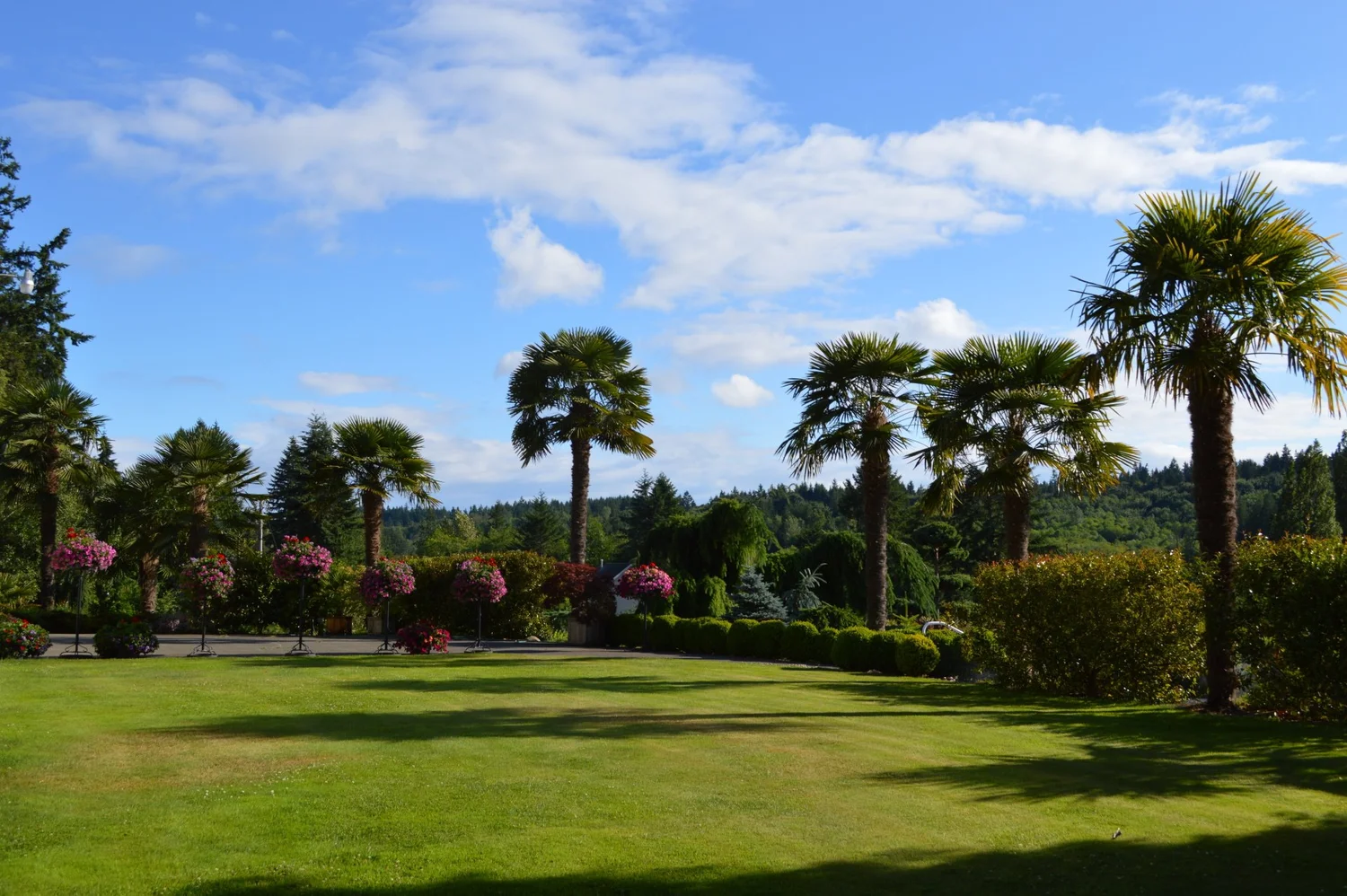 13 Gardens, Nurseries and Greenhouses on the Kitsap Peninsula to see ...