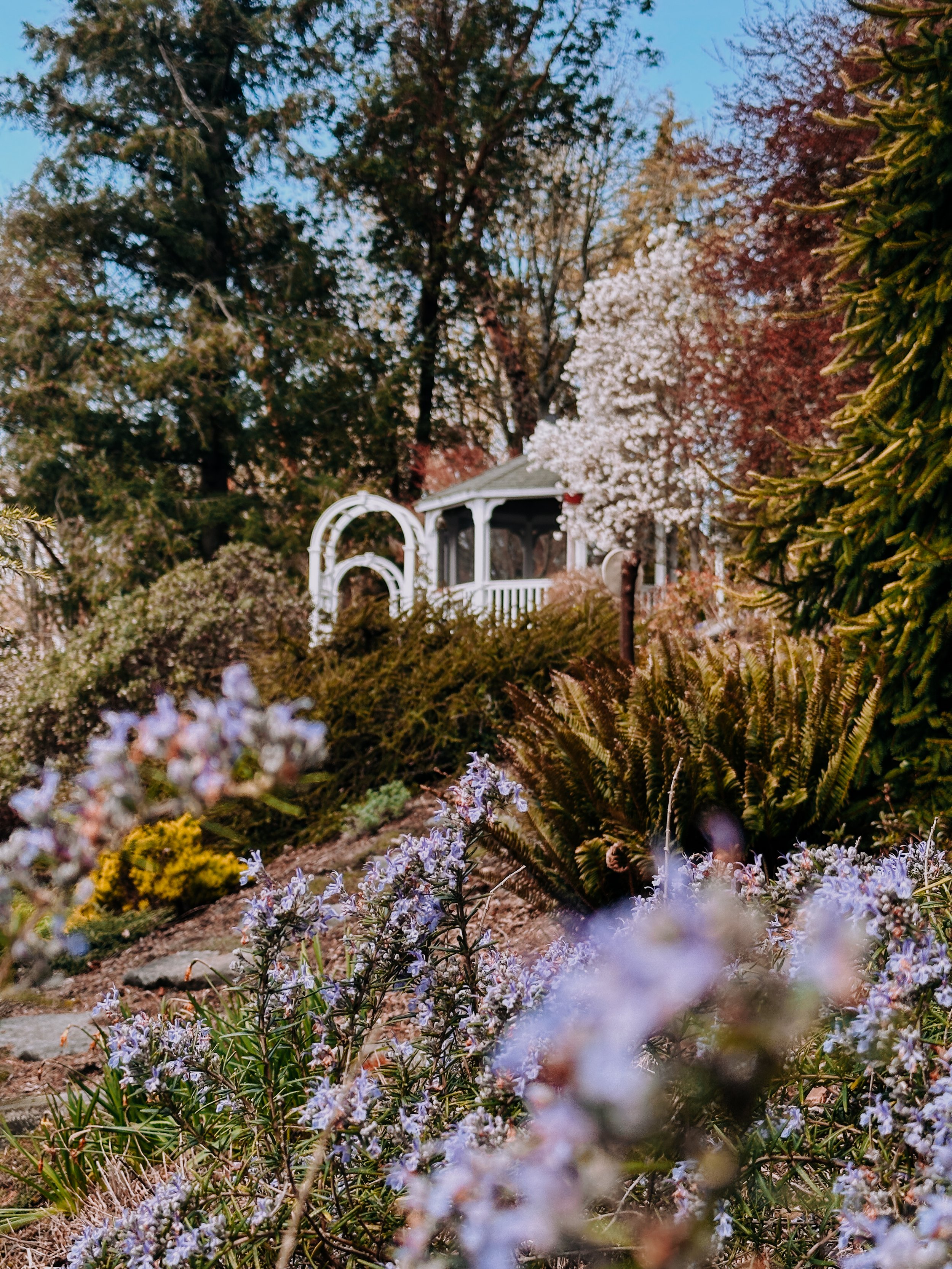 13 Gardens, Nurseries and Greenhouses on the Kitsap Peninsula to see ...