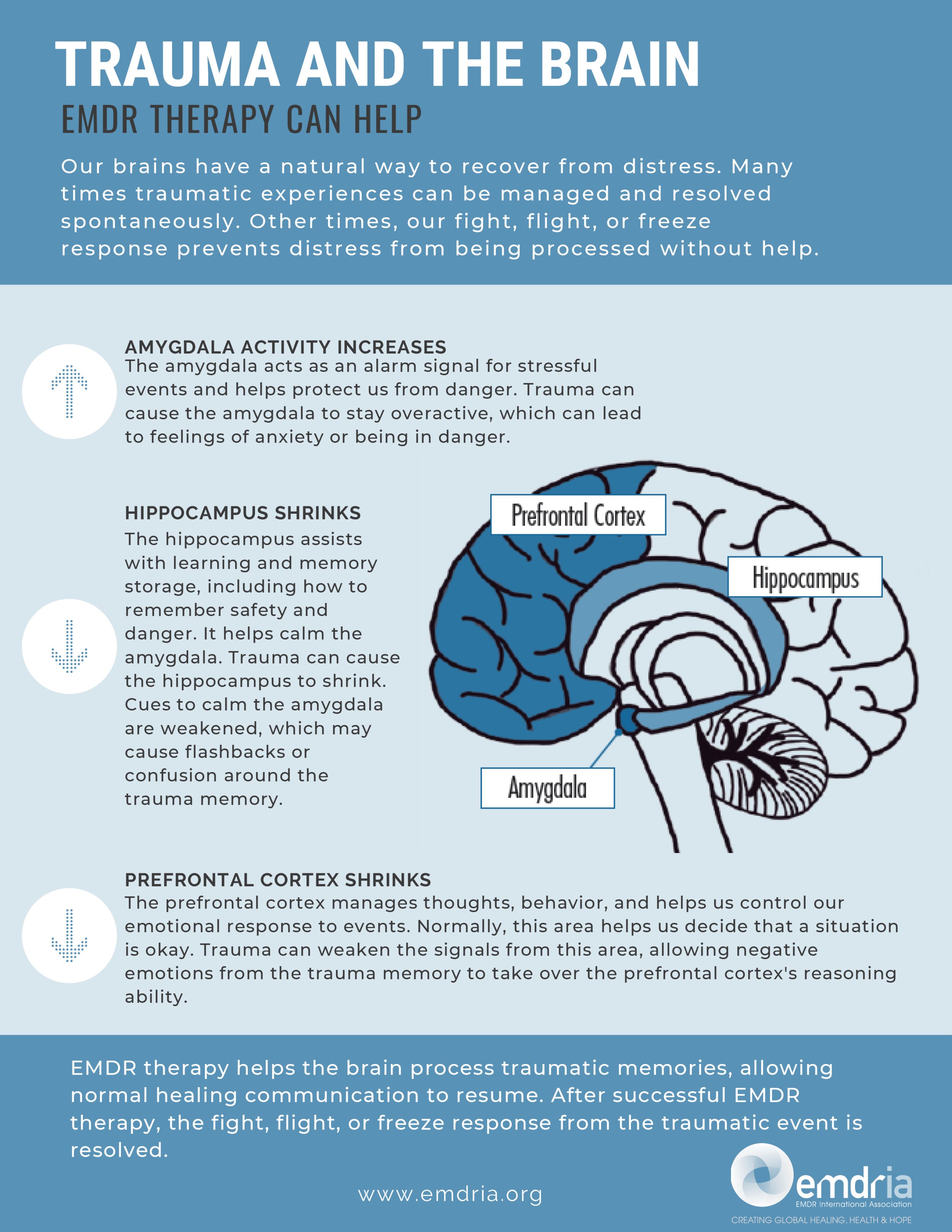 What Is EMDR Psychotherapy Crystal Palace Beckenham London